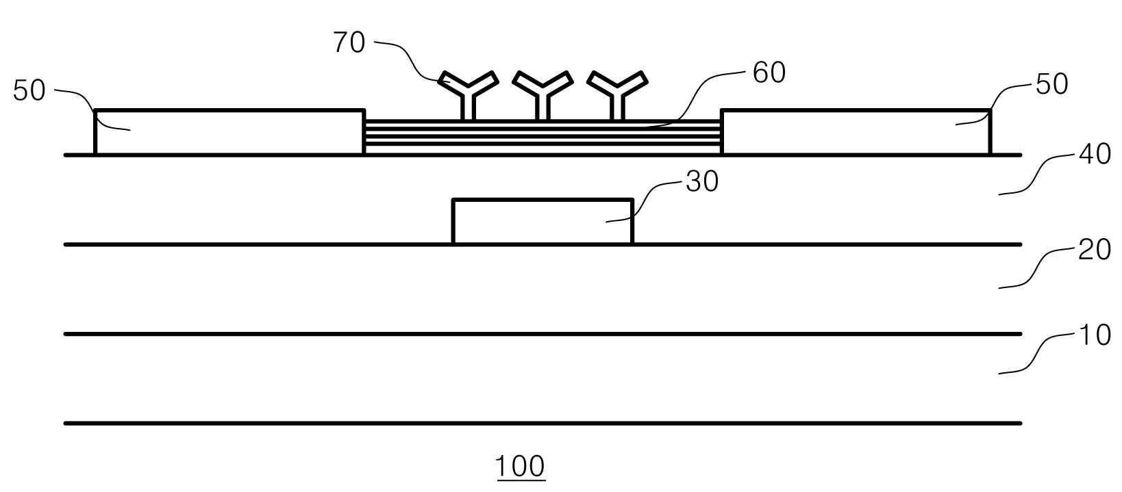 바이오 센서 Bio Sensor 지식마켓